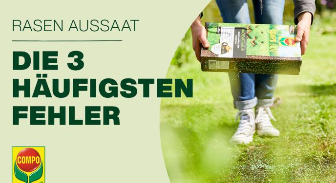 Rasen säen Tipps und Tricks von COMPO